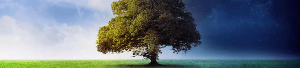 Conversion Therapy - Therapist Chesterfield & Mansfield